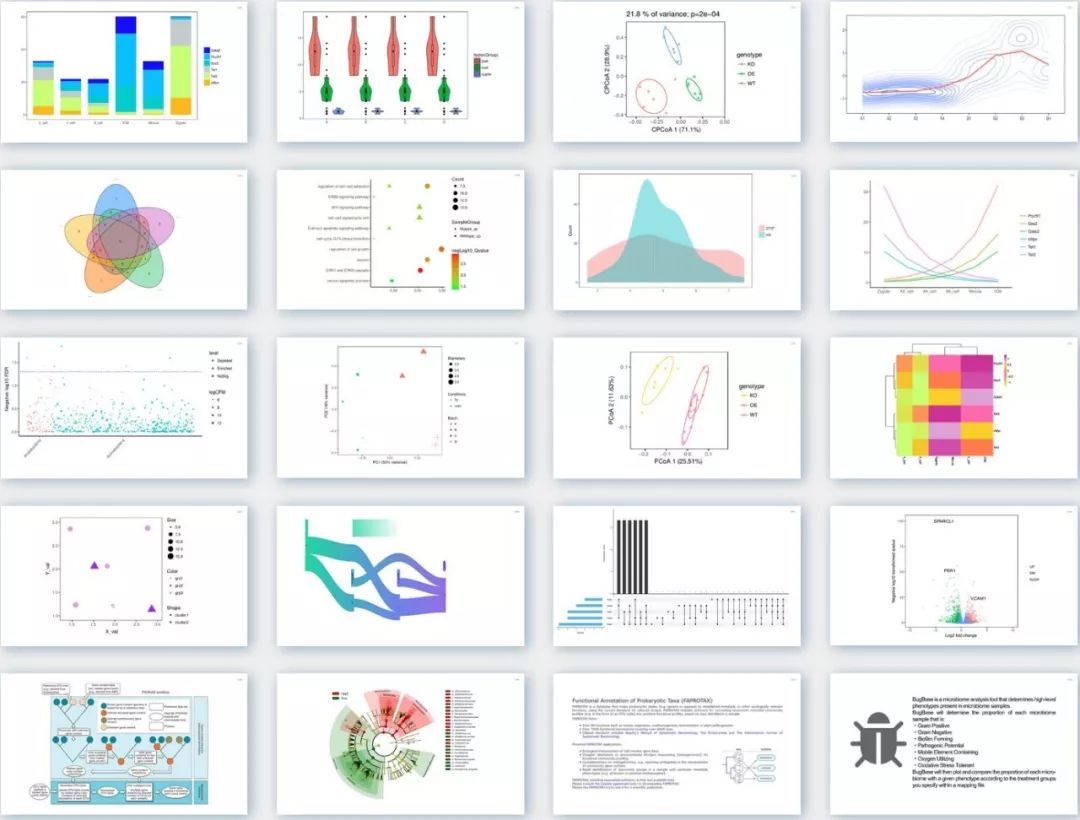 画图手册 | ImageGP:今天你“plot”了吗?-轻识