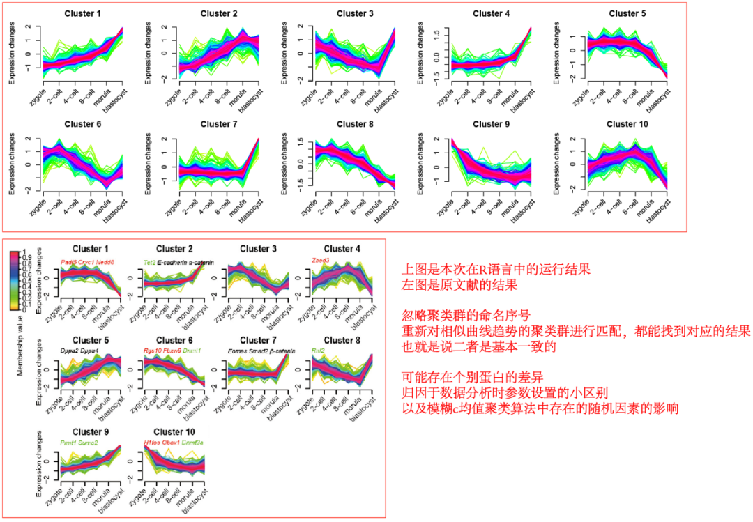 使用Mfuzz包进行基因表达的时间趋势分析并划分聚类群-技术圈