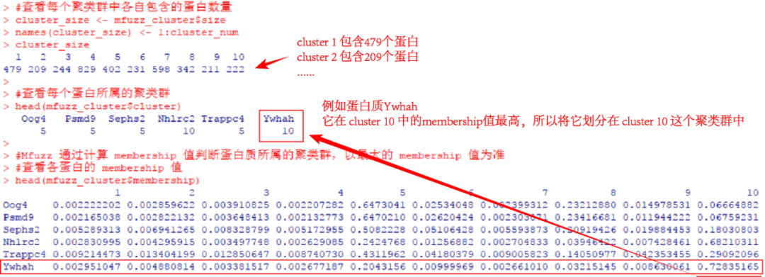 使用Mfuzz包进行基因表达的时间趋势分析并划分聚类群-轻识