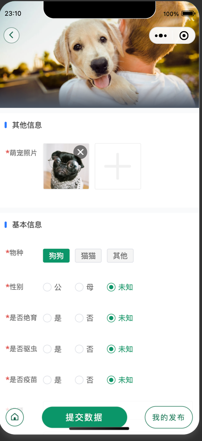 小程序宠物领养和发布平台系统开发案例 程序员客栈